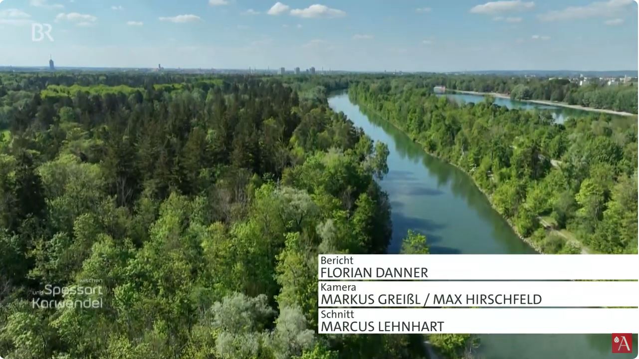 Stadtwald ist Waldgebiet des Jahres 2024